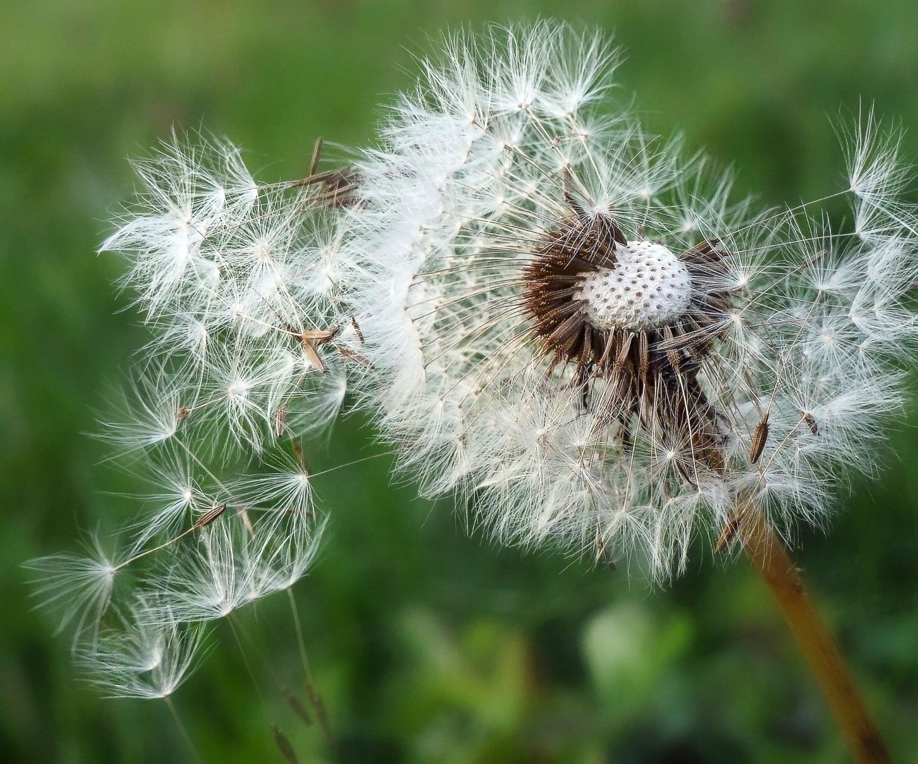 Can You Be Allergic To Air? You May Be Surprised